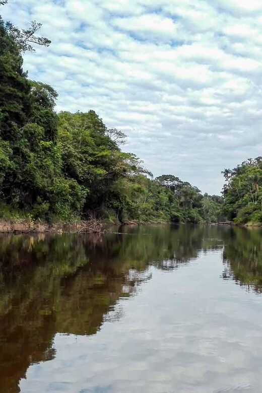 From Iquitos | Pacaya Samiria Reserve Expeditions - Key Points