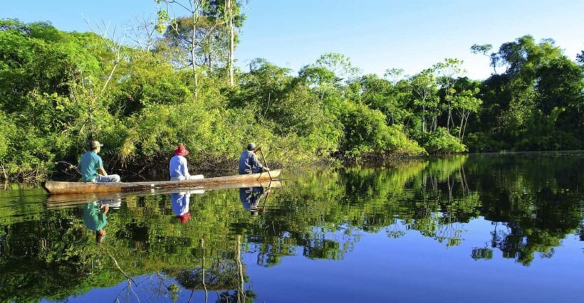 From Iquitos | Pacaya Samiria Reserve Expeditions - A Day in the Amazon: What to Expect