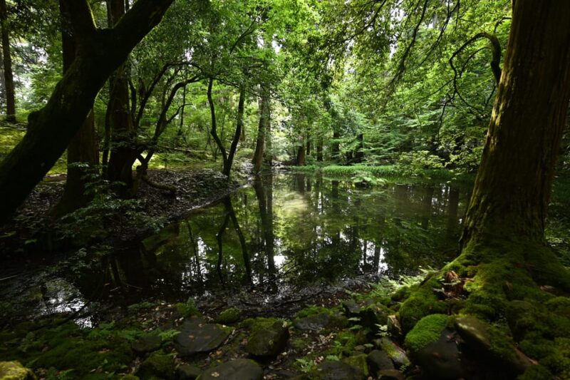 From Ishikawa : Hakusan Religious Tourism (4 Days Version) - Getting to the Starting Point