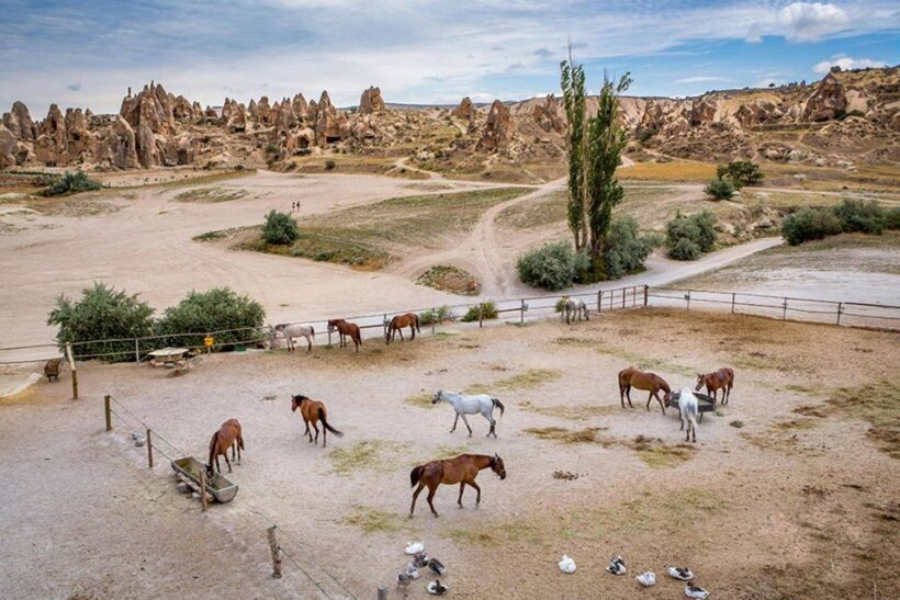 From Istanbul: Cappadocia, Ephesus, & Pamukkale Private Tour - A Closer Look at the Itinerary