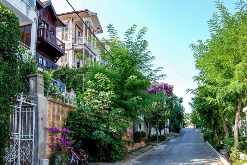 From Istanbul: Full-Day Princes Island Tour with Lunch - Exploring the Princes Islands from Istanbul: A Practical, Authentic Guide