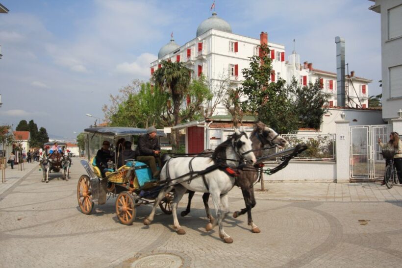 From Istanbul: Full-Day Princes Island Tour with Lunch - Arrival at Büyükada: The Largest of the Princes Islands