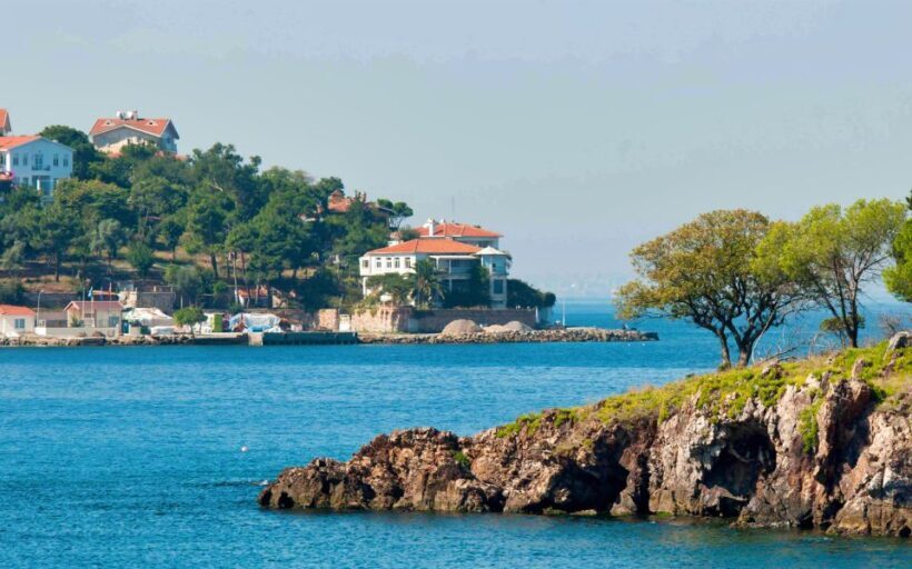 From Istanbul: Full-Day Princes Island Tour with Lunch - Final Drop-Off and Overall Experience