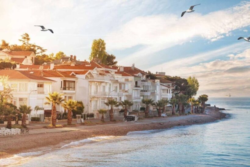 From Istanbul: Full-Day Princes Island Tour with Lunch - Who Will Love This Tour?