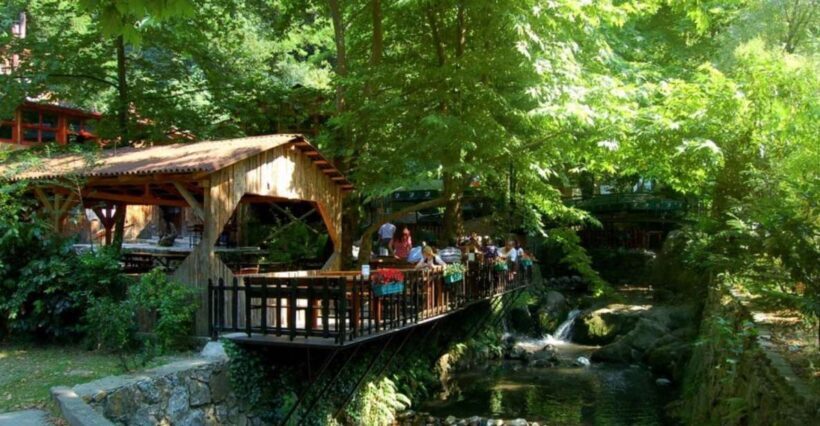 From Istanbul: Guided Day Trip to Sapanca and Masukiye - From Istanbul: Guided Day Trip to Sapanca and Masukiye – An Authentic Escape into Nature