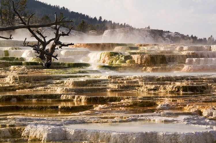 From Jackson: 2-Day Grand Teton and Yellowstone Tour - Visiting Yellowstone’s Thermal Features and Iconic Sights