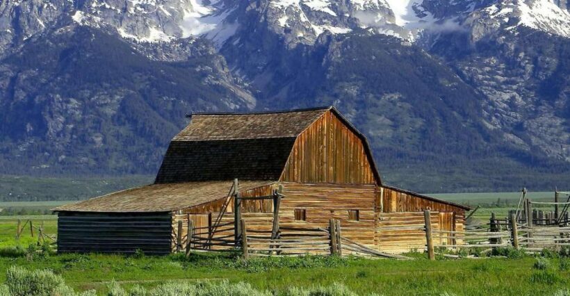 From Jackson: Half-Day Grand Teton National Park Tour - Why this tour works for travelers