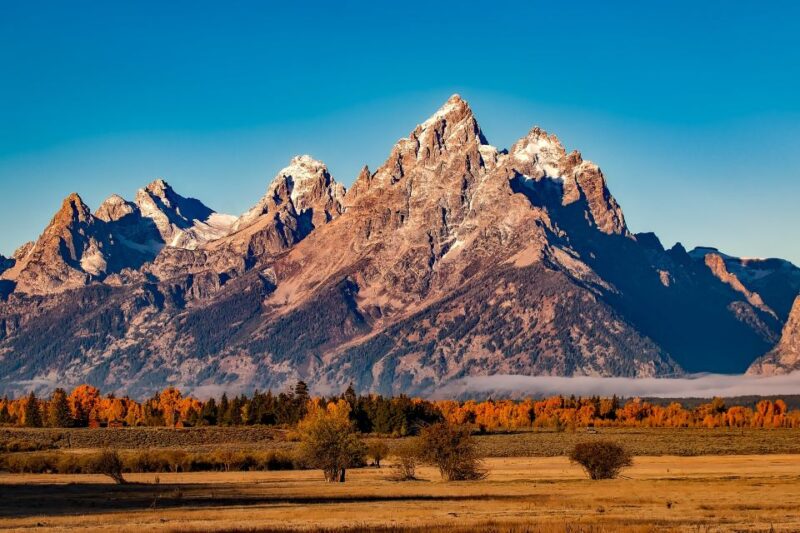 From Jackson: Half-Day Grand Teton National Park Tour - What to Expect on the Tour