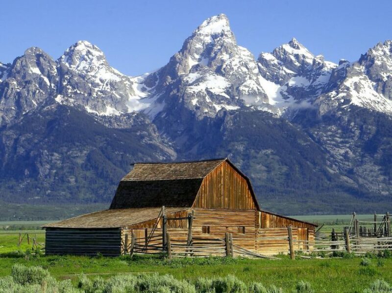 From Jackson: Half-Day Grand Teton National Park Tour - The Guide Experience