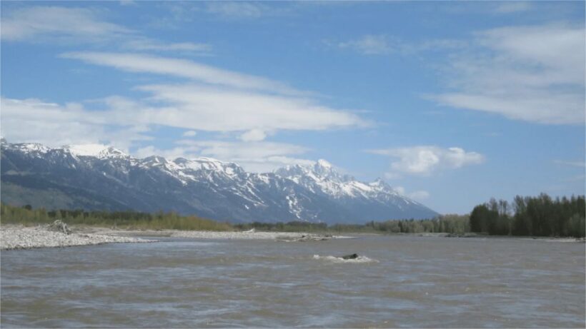 From Jackson Hole: Snake River Float with Scenic Teton Views - What’s Included in the Experience?