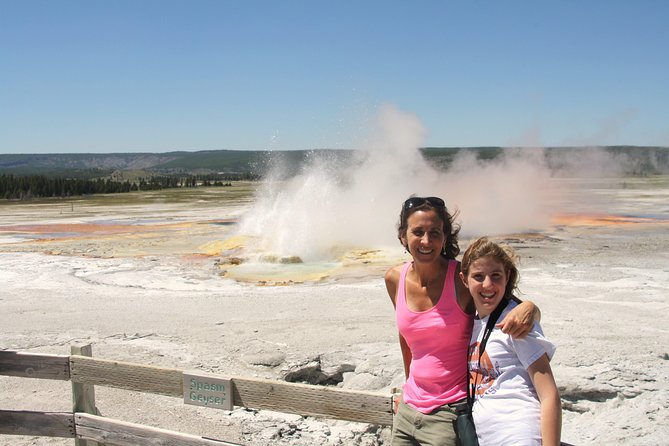 From Jackson Hole: Yellowstone Old Faithful, Waterfalls and Wildlife Day Tour - Who This Tour Is Perfect For