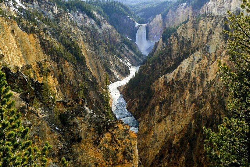 From Jackson: Yellowstone Day Tour Including Entrance Fee - FAQ