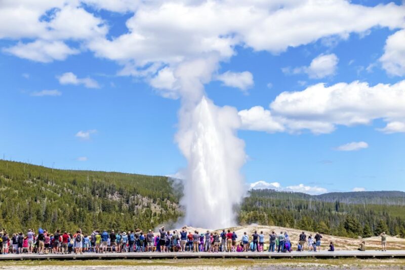From Jackson: Yellowstone Day Tour Including Entrance Fee - Introduction: A Complete Day in Yellowstone Without the Hassle