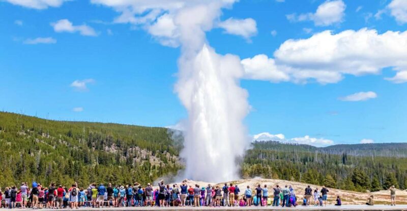 From Jackson: Yellowstone Day Tour Including Entrance Fee - Transportation and Group Dynamics