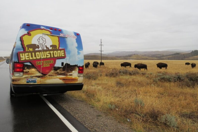 From Jackson: Yellowstone Day Tour Including Entrance Fee - Cost and Value: What Are You Paying For?