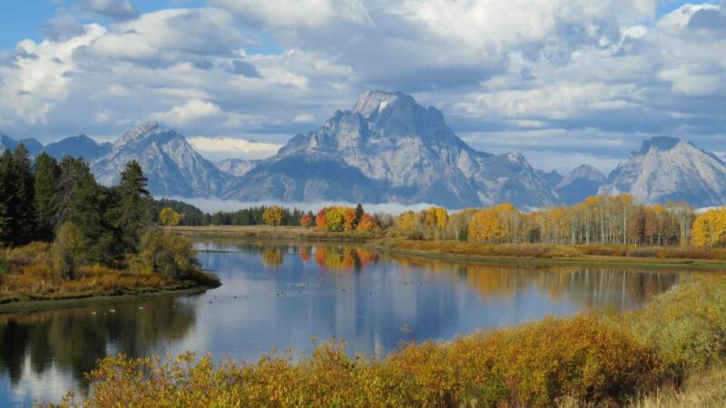 From Jackson: Yellowstone Day Tour Including Entrance Fee - FAQ