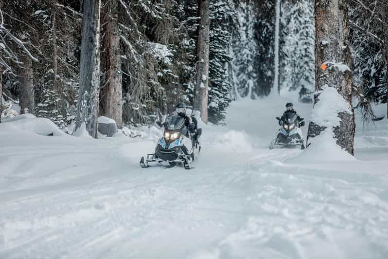 From Jackson: Yellowstone Grand Canyon Snowmobile Tour - Practical Tips for Participants