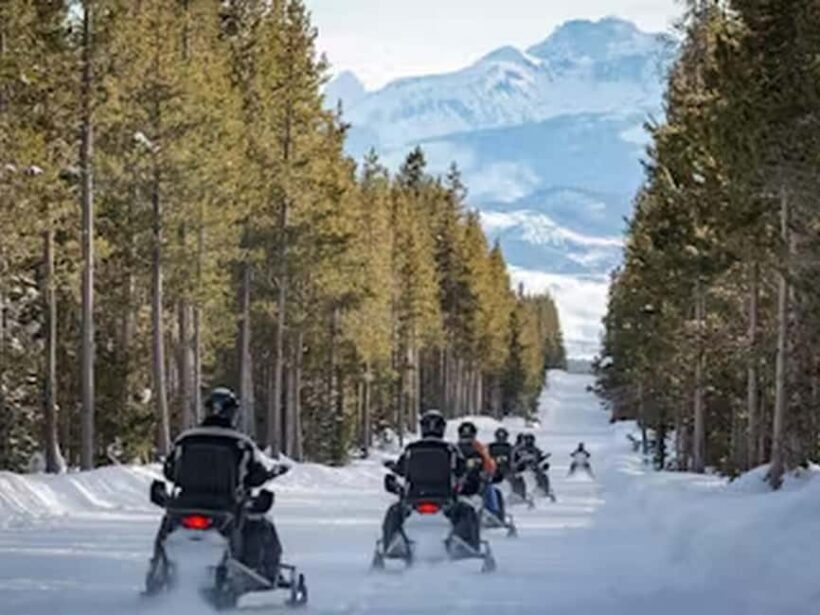 From Jackson: Yellowstone Grand Canyon Snowmobile Tour - Who This Tour Is Best For