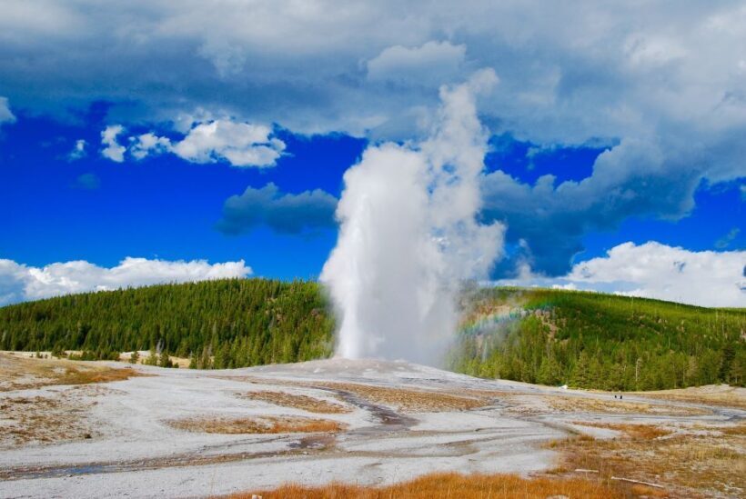 From Jackson: Yellowstone National Park Day Trip with Lunch - From Jackson: Yellowstone National Park Day Trip with Lunch — A Detailed Look