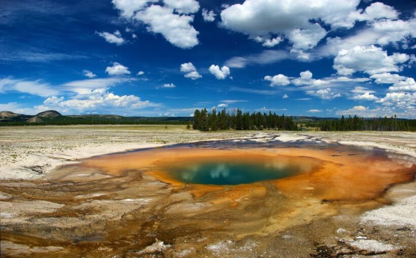 From Jackson: Yellowstone National Park Day Trip with Lunch - Final Thoughts