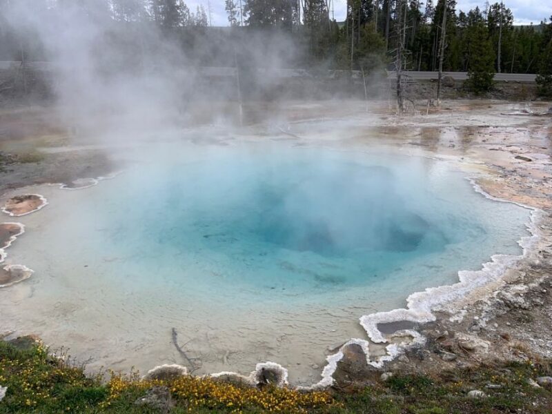 From Jackson: Yellowstone National Park Day Trip with Lunch - Key Points