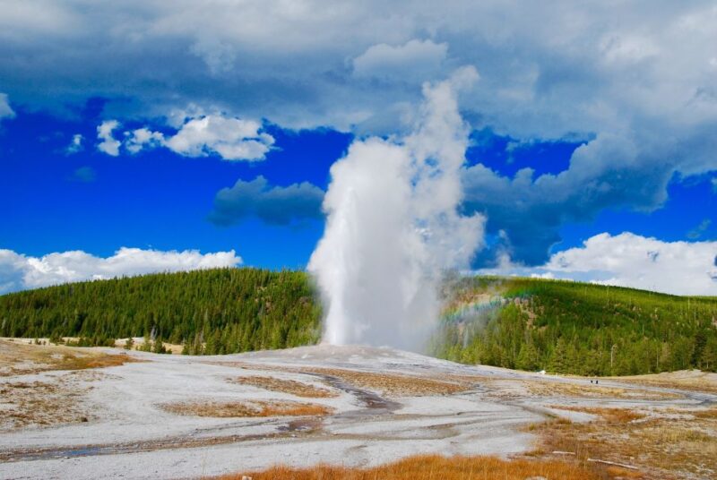 From Jackson: Yellowstone National Park Day Trip with Lunch - Who Will Love This Tour?