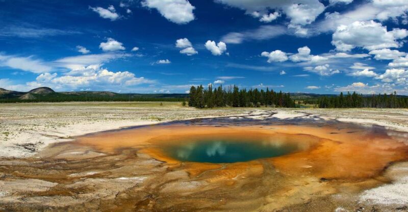 From Jackson: Yellowstone National Park Day Trip with Lunch - Final Thoughts