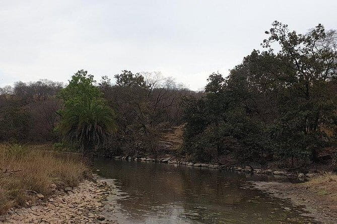 From Jaipur: 2 Day Ranthambore Tiger Safari with Transfers - The Value in Context
