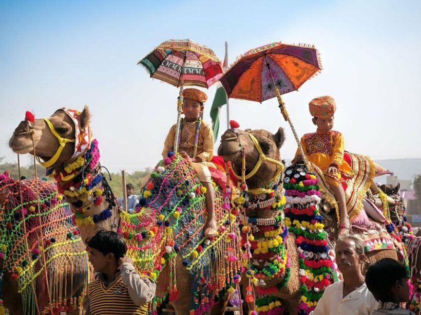 From Jaipur: One-Day Trip From Jaipur to Pushkar - An In-Depth Look at the Pushkar Day Trip