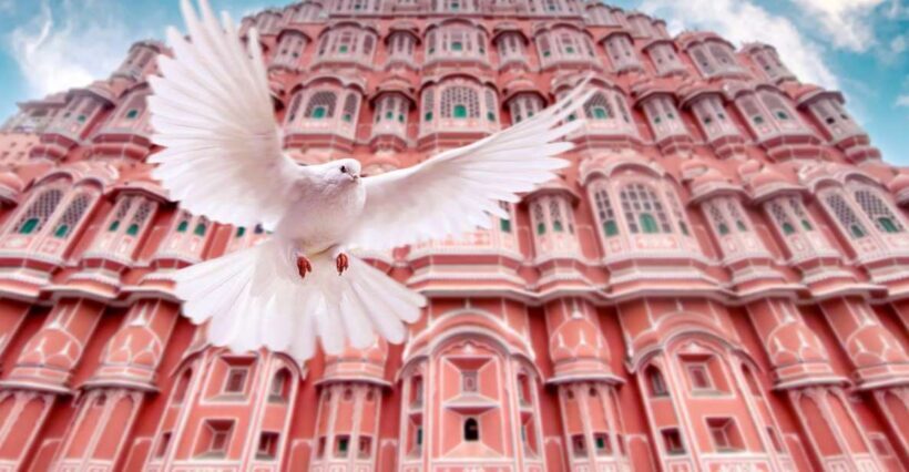From Jaipur: Private Amber Fort, Jal Mahal and More Car Tour - FAQ: Practical Questions About the Tour