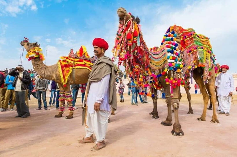 From Jaipur: Private Same Day Ajmer & Pushkar Day Trip - A Deep Dive into the Experience