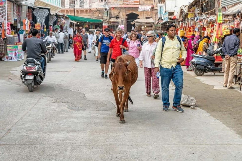 From Jaipur: Pushkar to Jodhpur Guided Tour - Key Points