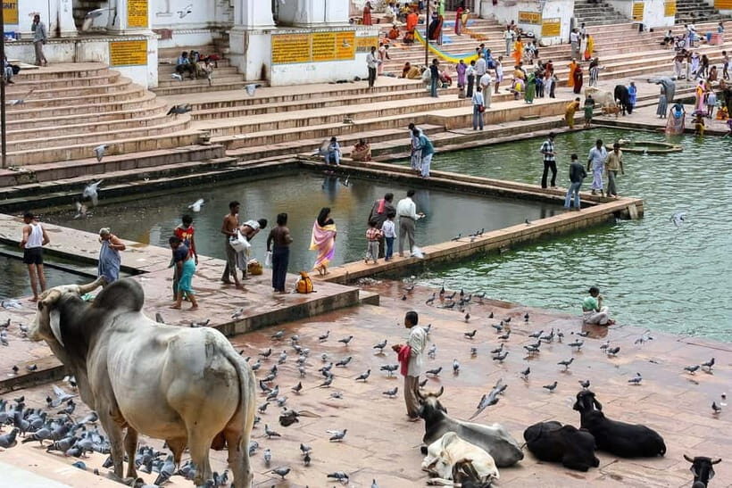 From Jaipur: Pushkar to Jodhpur Guided Tour - Final Thoughts