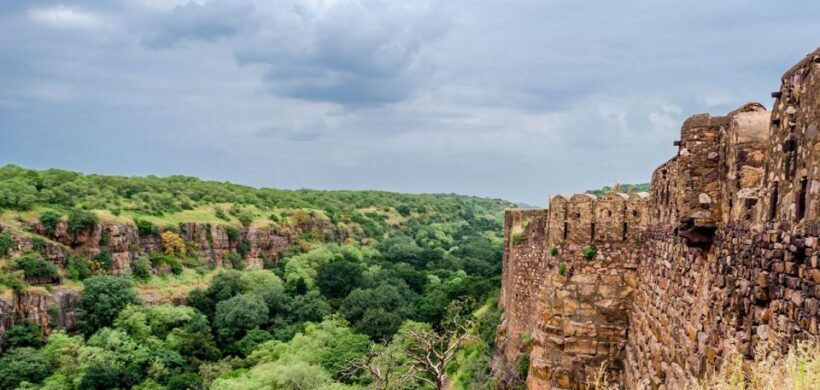From Jaipur: Same Day Ranthambore excursion - An Honest Breakdown of the Ranthambore Day Trip