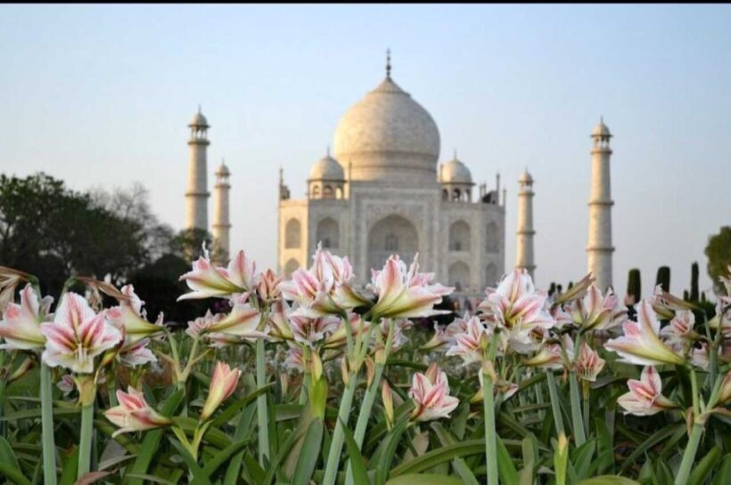 From Jaipur : Taj Mahal & Agra Fort Day Tour with Lunch - Authentic Traveler Insights