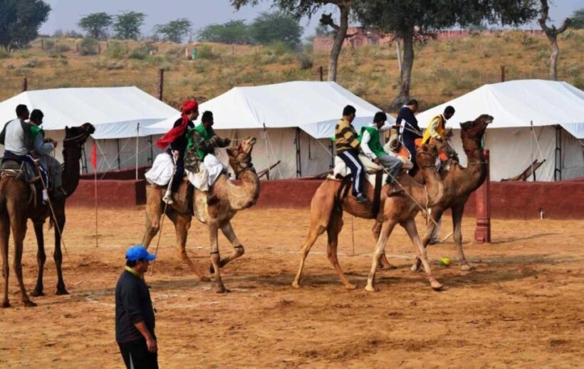 From Jaisalmer: Private Trip Under Stars with Camel Safari - Key Points