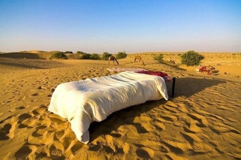 From Jaisalmer: Private Trip Under Stars with Camel Safari - Why Travelers Love This Trip