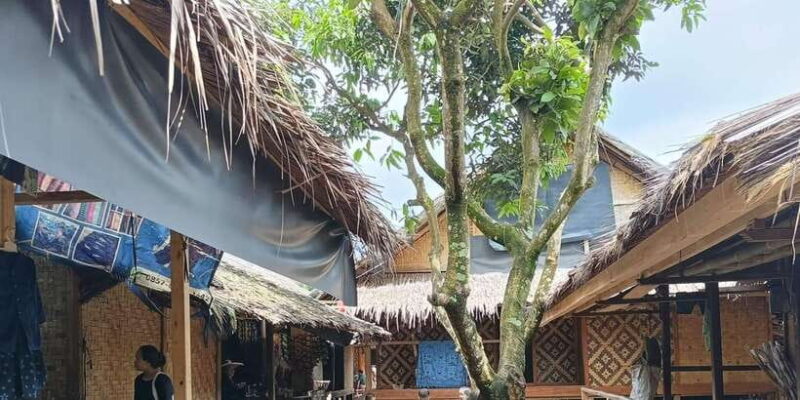 From Jakarta: Baduy Tribe Full Day Trip with Lunch - Who Is This Tour Best For?