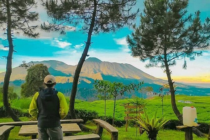 From Jakarta : Java Island To Bali Island 14 Day (Private Tour) - A Detailed Breakdown of the Itinerary