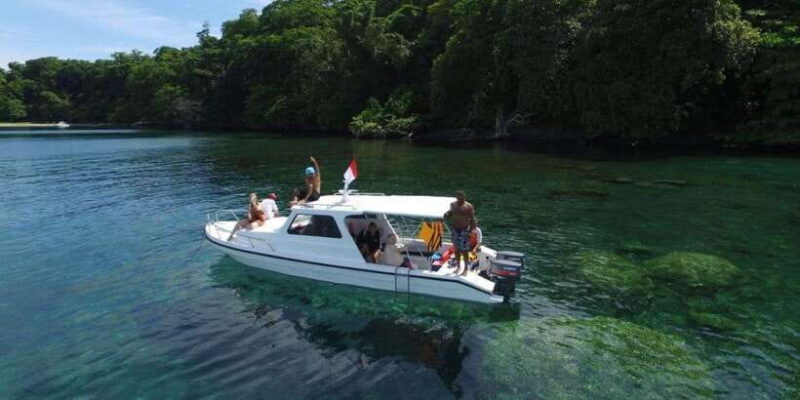 From Jakarta: Mount Krakatoa Guided Tour - Exploring Krakatoa’s Biodiversity