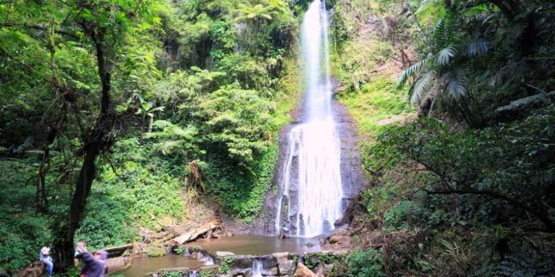 From Jakarta: Safari Park, Tea Plantation & Jaksa Waterfall - Key Points