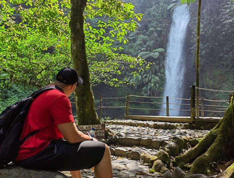 From Jakarta: Situ Gunung Suspension Bridge & Waterfall Tour - The Experience Provider