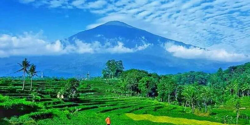 From Jakarta : Volcano, Tea & Rice Fields, Hot Spring - How the Experience Comes Together