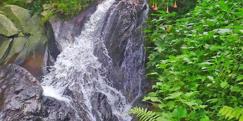 From Jakarta : Waterfall , Botanical Garden , Puppet Show - Key Points