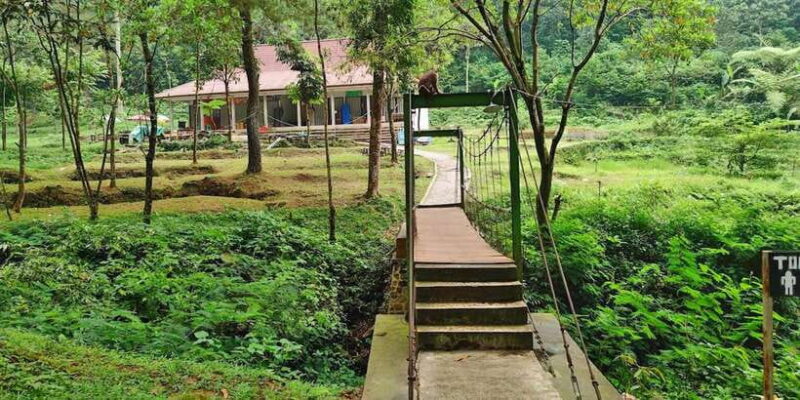 From Jakarta : Waterfall , Botanical Garden , Puppet Show - Exploring the Botanical Gardens – A Botanical Forest