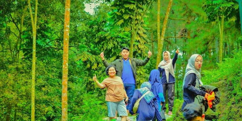 From Jakarta : Waterfall , Botanical Garden , Puppet Show - Lunch in the Heart of Rice Fields