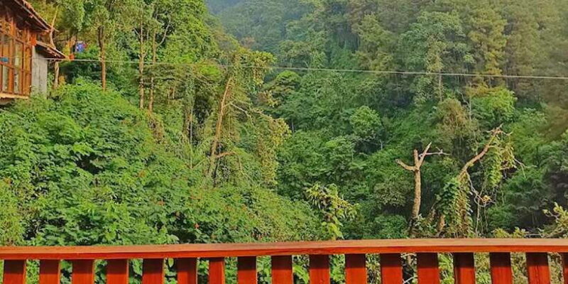 From Jakarta : Waterfall , Botanical Garden , Puppet Show - Return Journey and Reflection