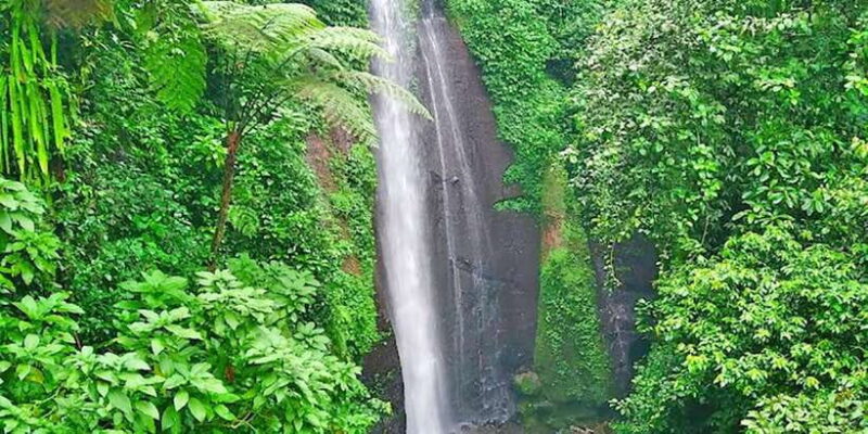 From Jakarta : Waterfall , Botanical Garden , Puppet Show - Practical Details & Tips