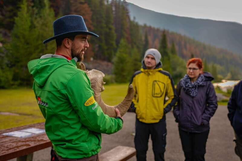 From Jasper: Jasper National Park Wildlife Discovery Tour - Exploring Jasper National Park on a Wildlife Discovery Tour