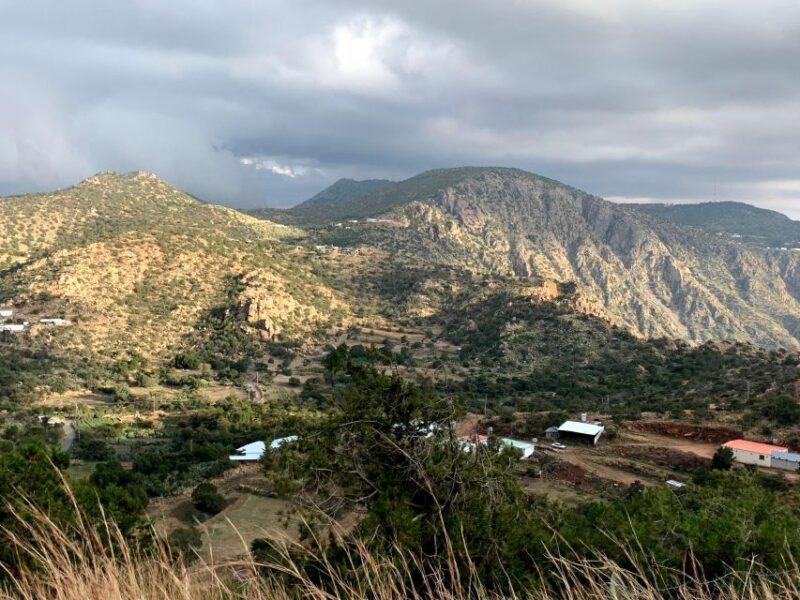 From Jeddah & Makkah: Taif Full Day Tour with Lunch - Key Points